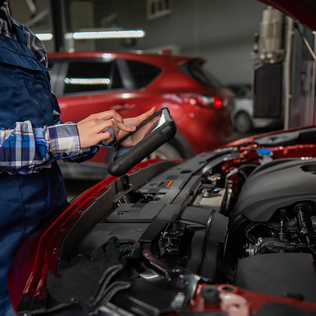 Nossos Serviços – Paddock Center