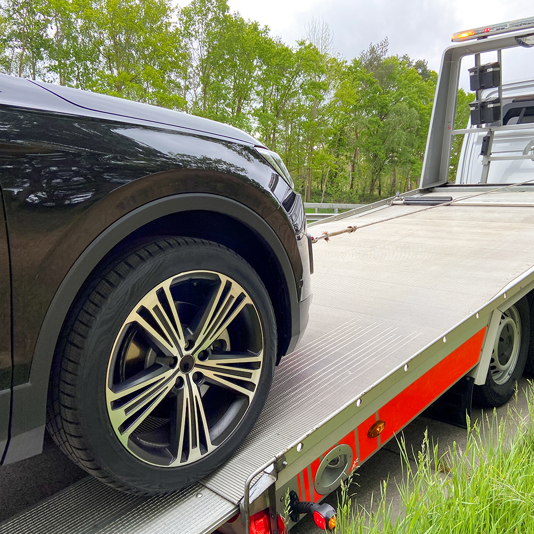 Nossos Serviços – Paddock Center